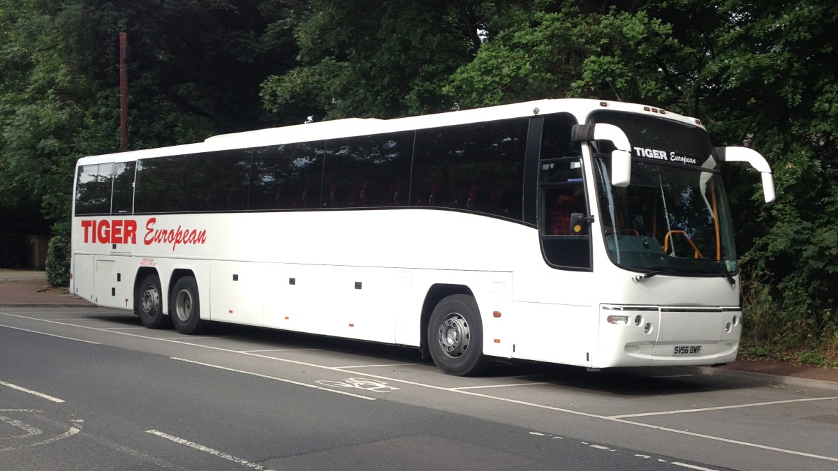 About | Tiger European